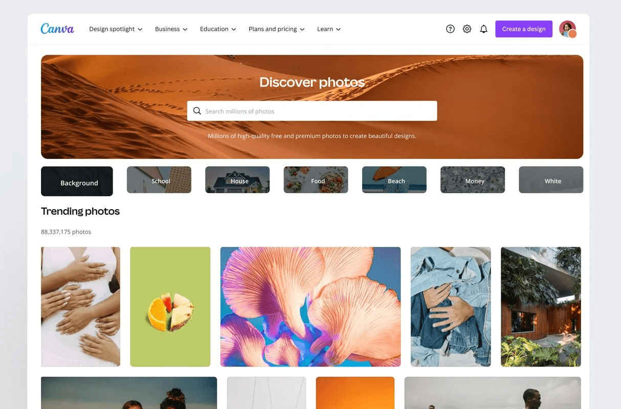 Can You Edit Canva Stock Photos Design Tutorials And Guides